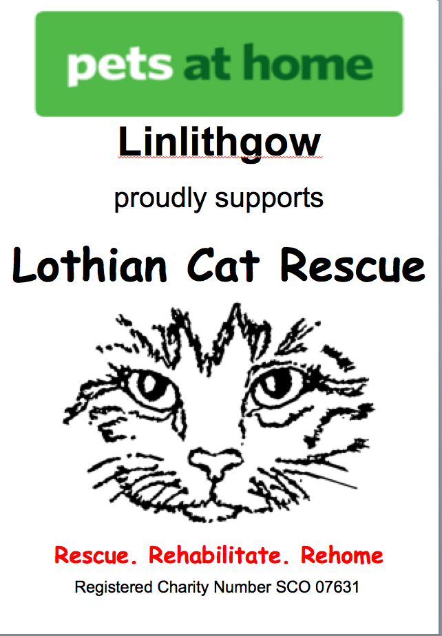 In-store at Pets at Home Linlithgow | Lothian Cat Rescue