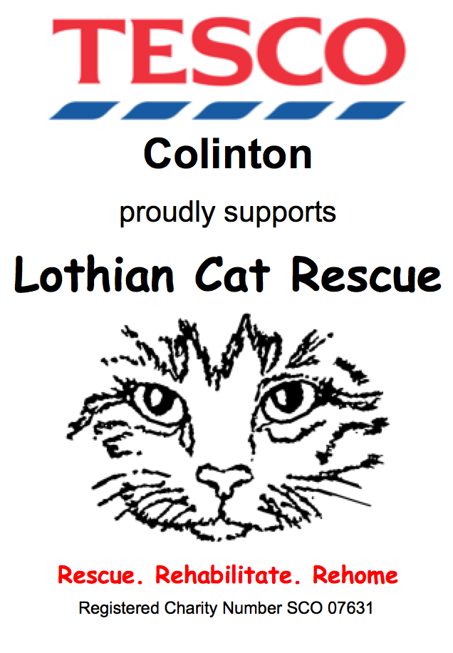 In store at Tesco Colinton | Lothian Cat Rescue